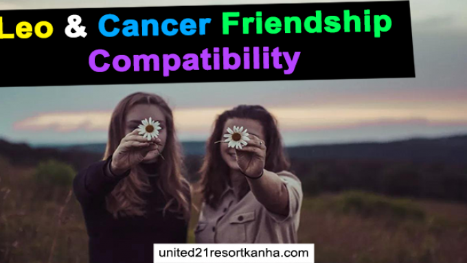 Leo & Capricorn Friendship Compatibility in 2024 - United21