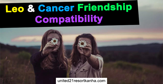 Leo and Cancer Friendship Compatibility: Will It Last?