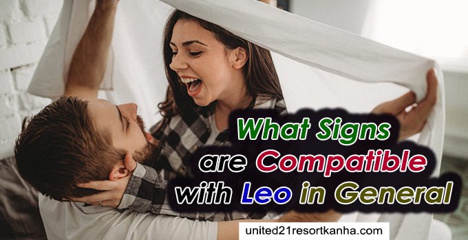 What Signs are Compatible with Leo in General (Top Rankings)